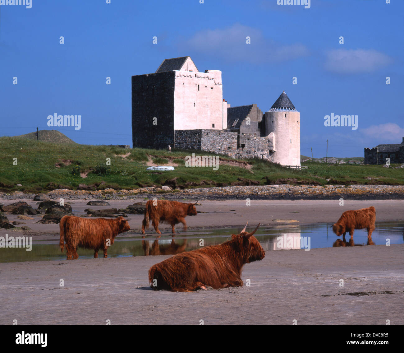 Breachacha Castle, Isle of Coll Stock Photo - Alamy