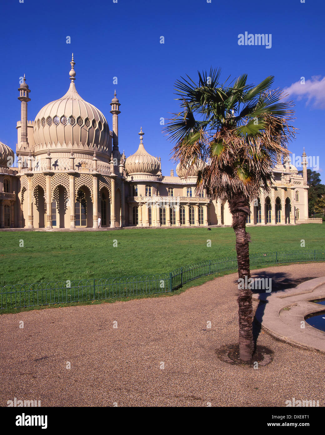 Palm tree royal pavilion brighton hi-res stock photography and images ...