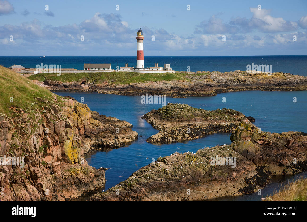 Buchan ness lighthouse near the village of Boddam,near Peterhead ...