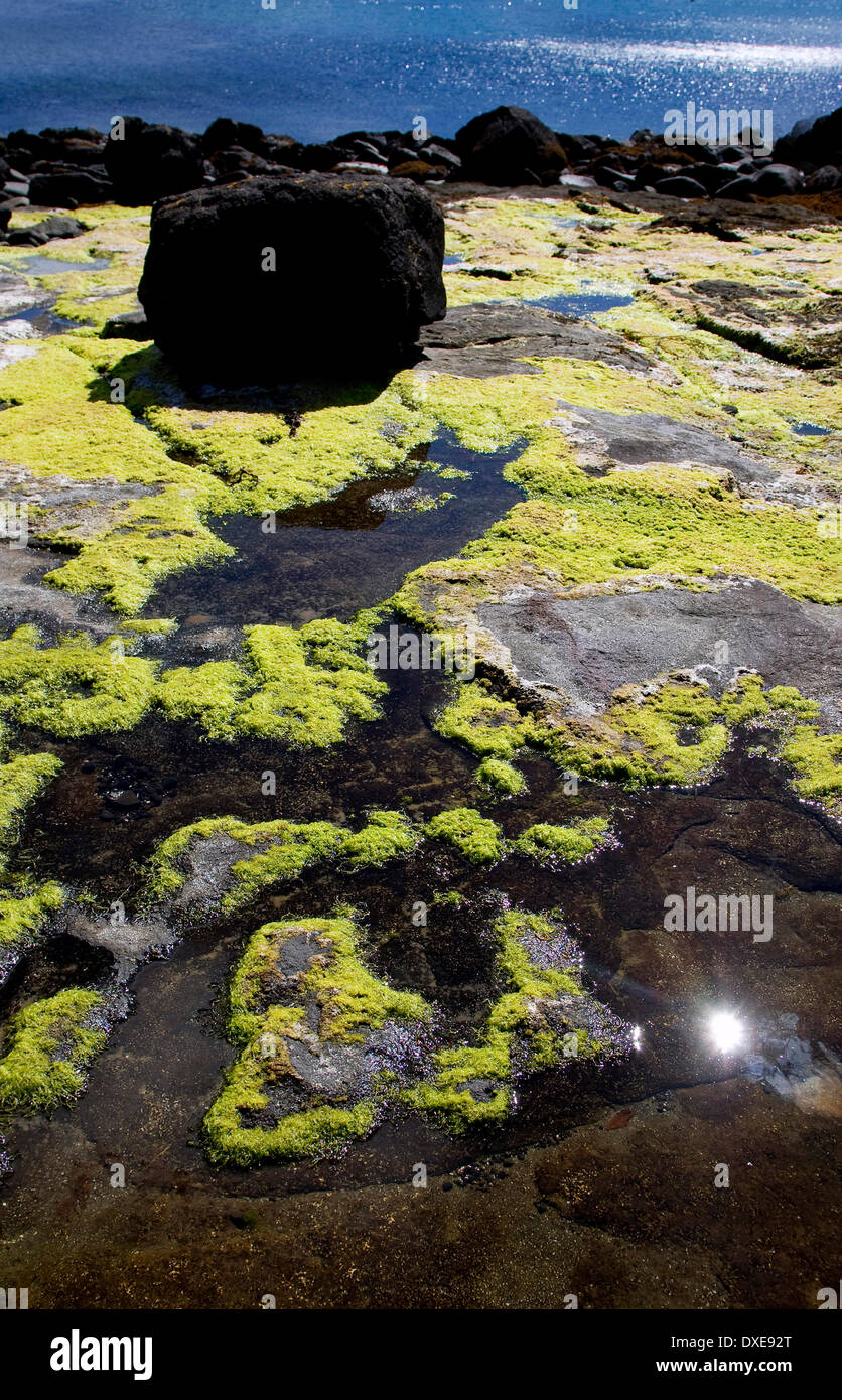 Black rocks hi-res stock photography and images - Alamy