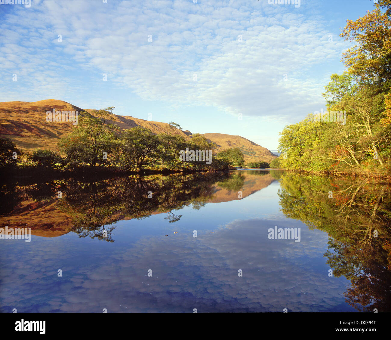 Fall orchy hi-res stock photography and images - Alamy
