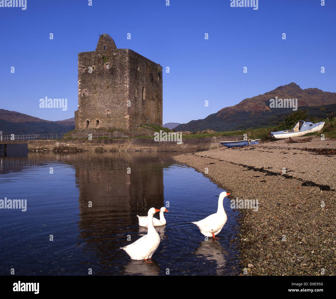 Carrick castle, Argyll Stock Photo - Alamy