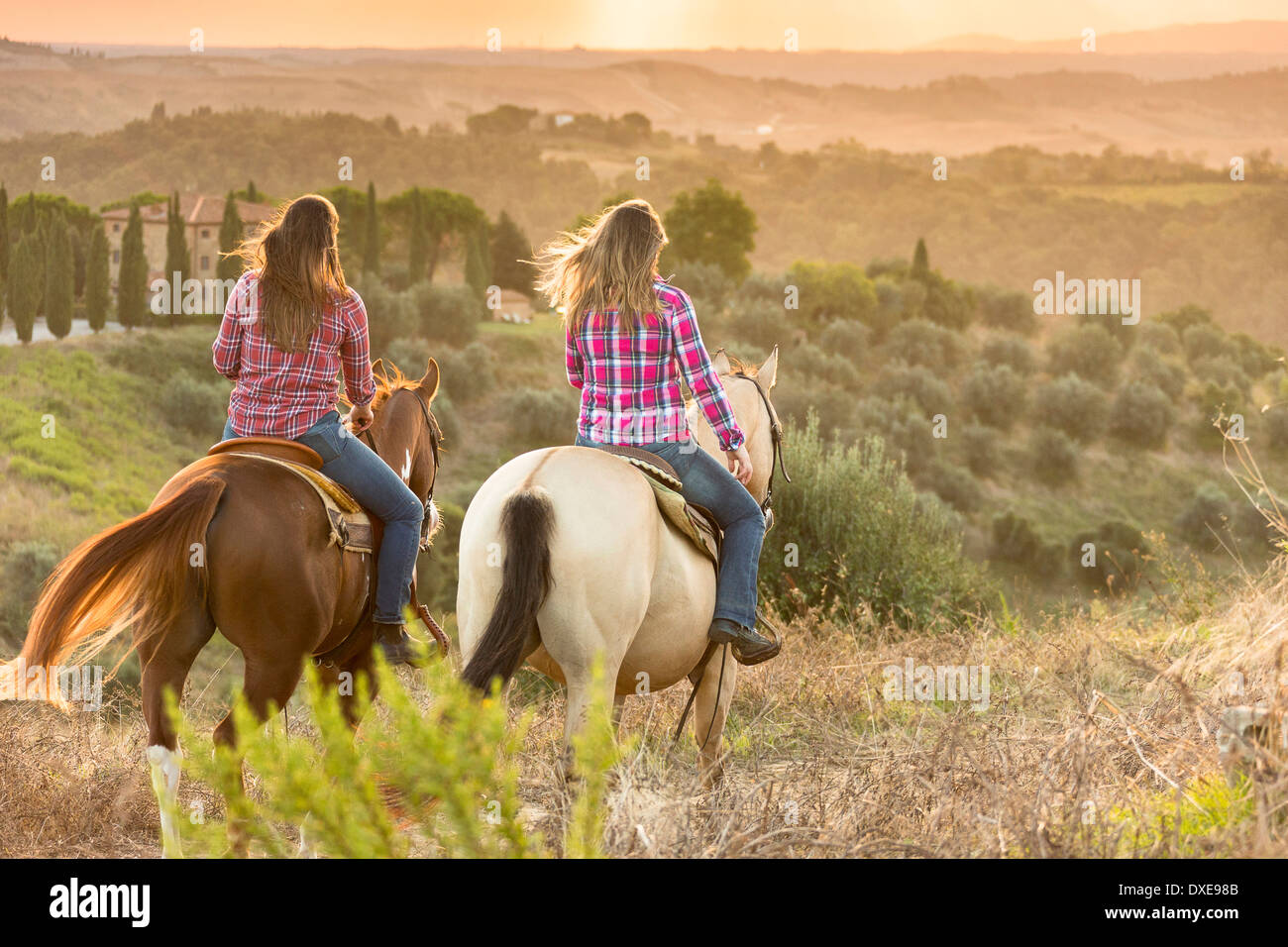 American Quarter Horse. Two riders on a trip in the Toscana, Italy ...