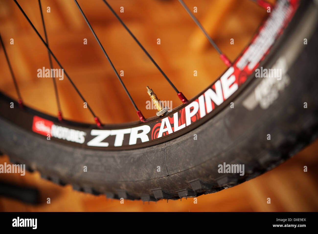 Parts of the drive bike. Gears bicycle crank mechanism Stock Photo - Alamy