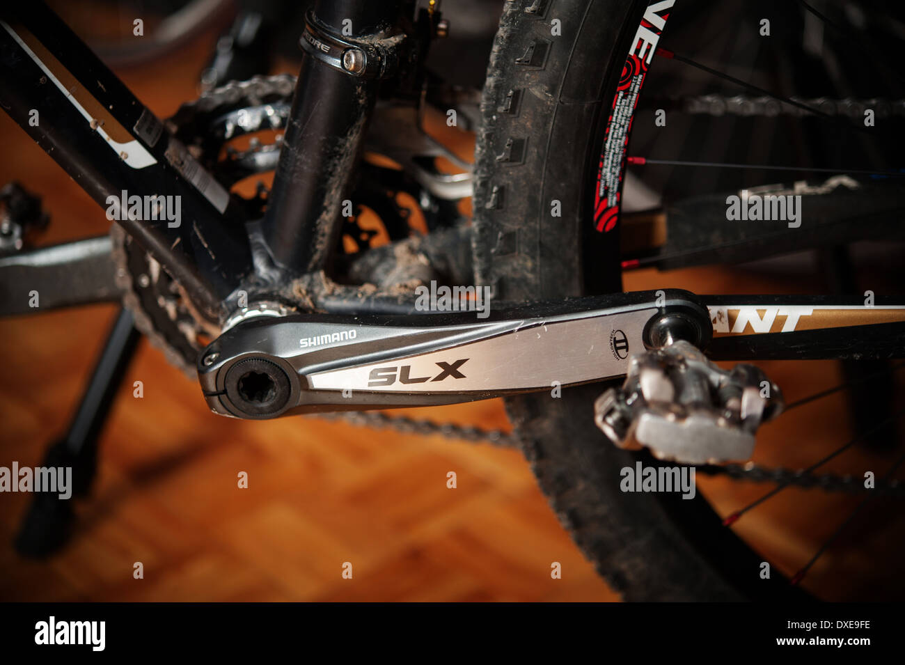 Parts of the drive bike. Gears bicycle crank mechanism Stock Photo - Alamy