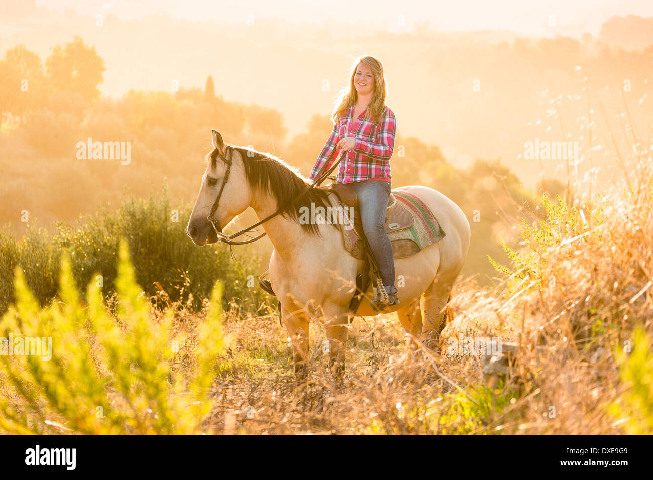 American quarter horse rider on hi-res stock photography and images - Alamy