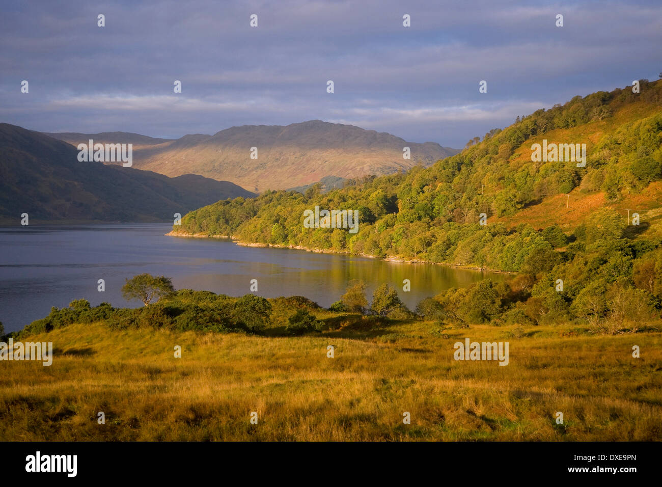 Loch Sunart, Ardnamurchan Stock Photo - Alamy