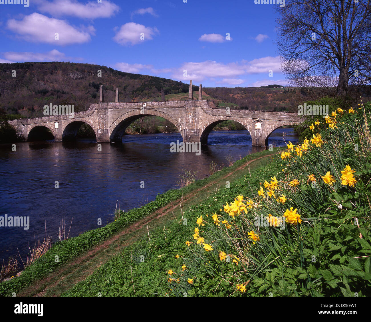 Aberfeldy bridge, River Tay Stock Photo - Alamy