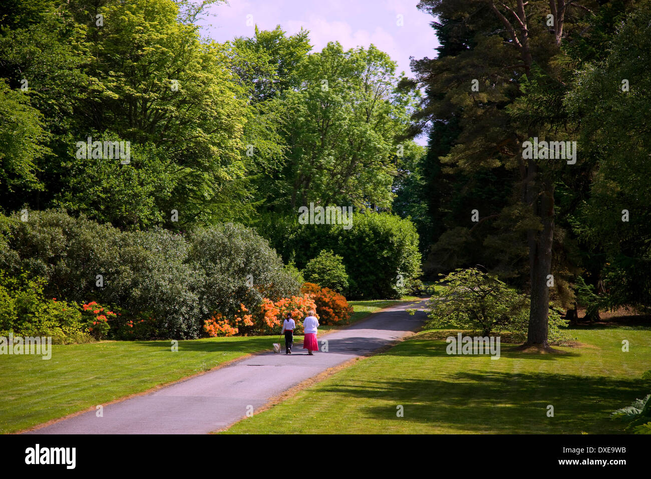Achamore garden gigha hi-res stock photography and images - Alamy