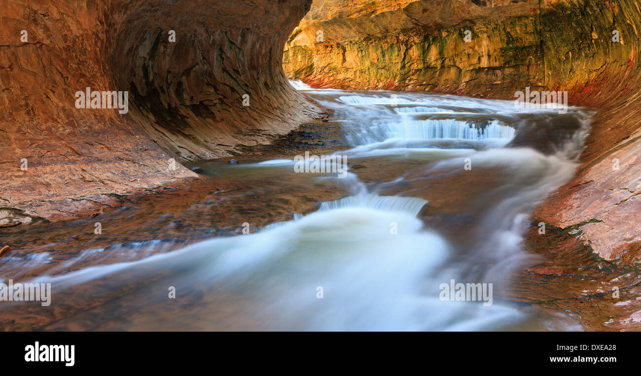 The Subway In Utah Zion National Park High Resolution Stock Photography ...