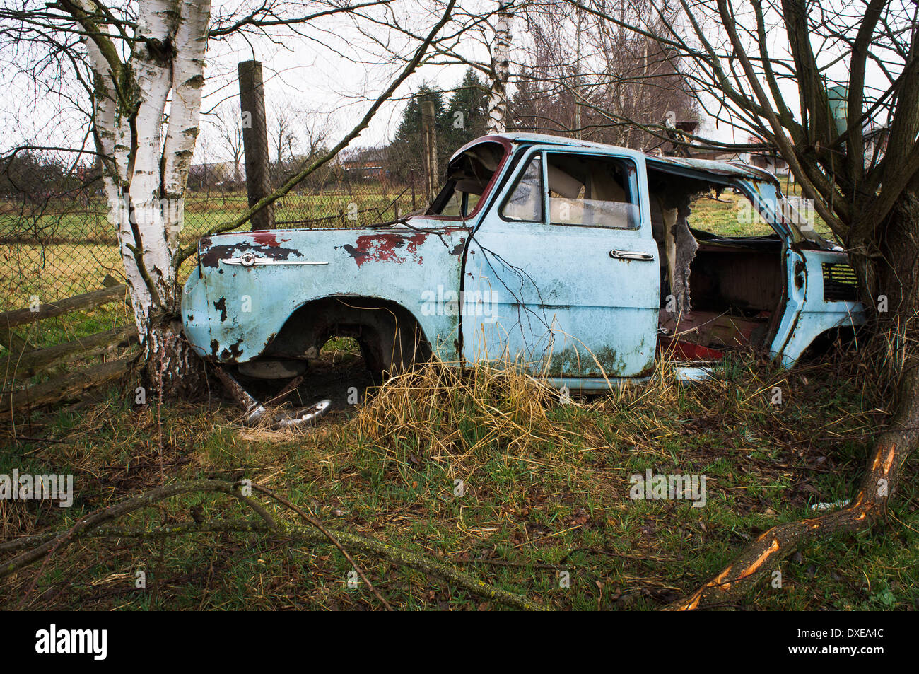 1000 mb hi-res stock photography and images - Alamy