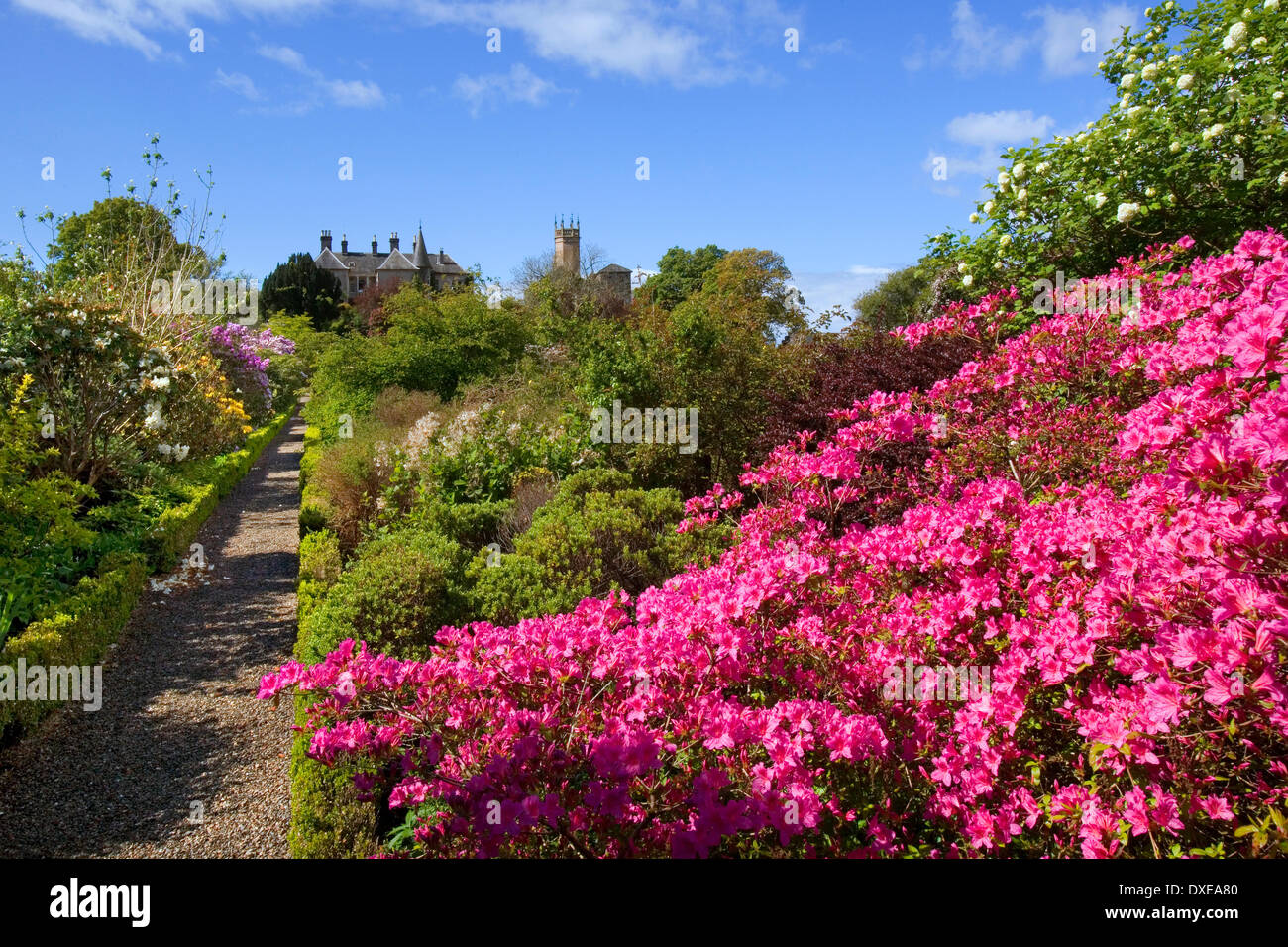 Ardmaddy castle from garden, Argyll Stock Photo - Alamy