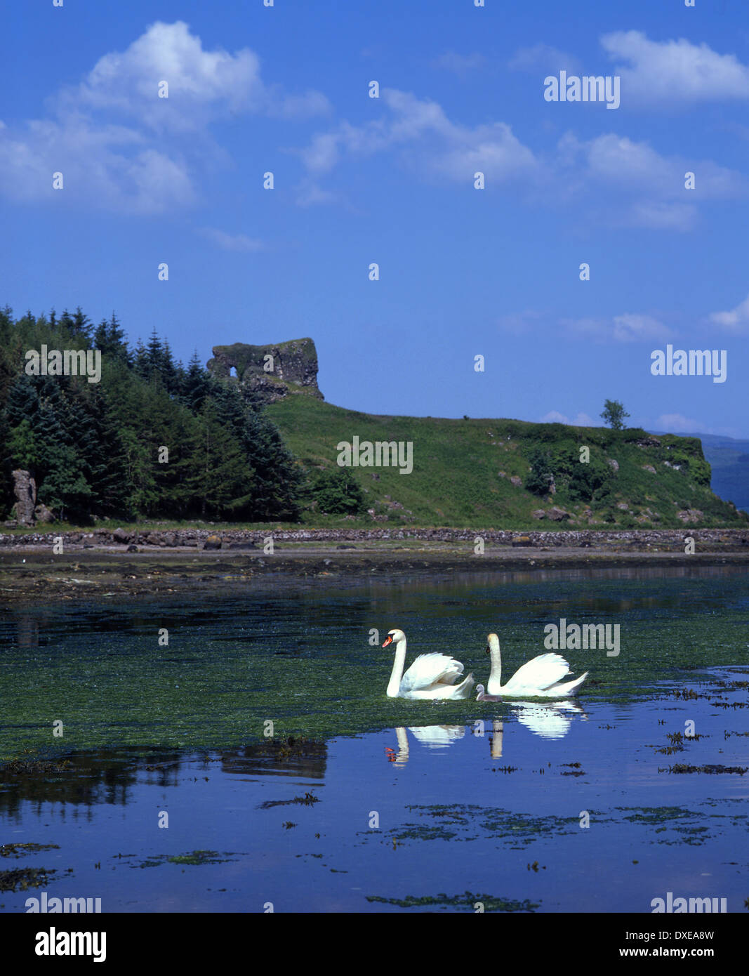 Aros castle ruins, Isle of Mull, Argyll Stock Photo - Alamy