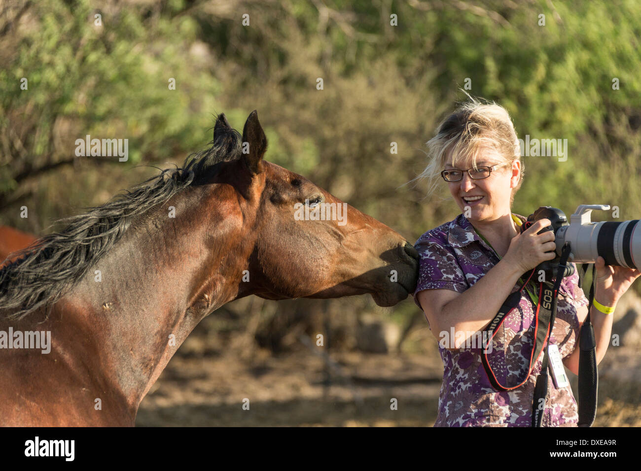 Domestic horse with German professional photographer Christiane Slawik. Arizona, USA Stock Photo ...