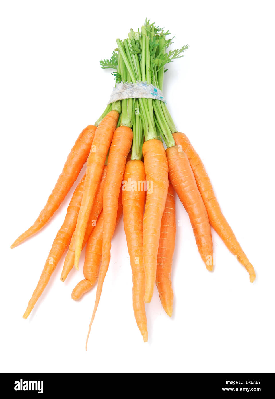 carrots on white Stock Photo - Alamy