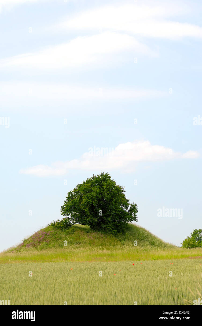 Small hill field hi-res stock photography and images - Alamy