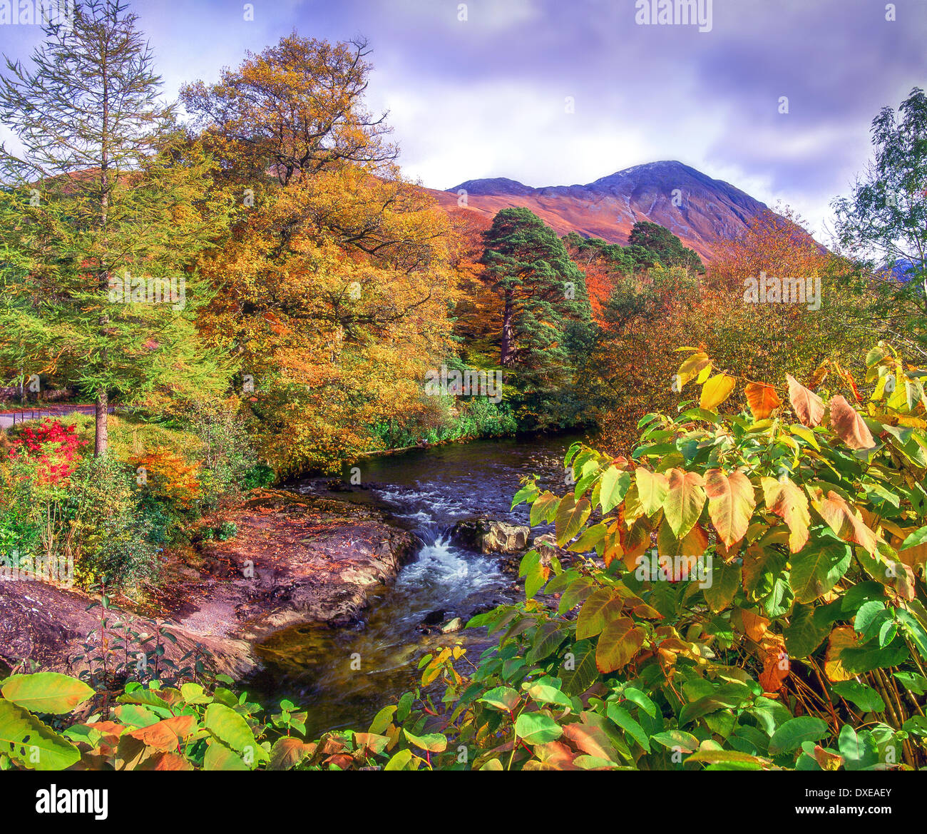 Autumn in Glencoe, River Coe, West Highlands Stock Photo - Alamy