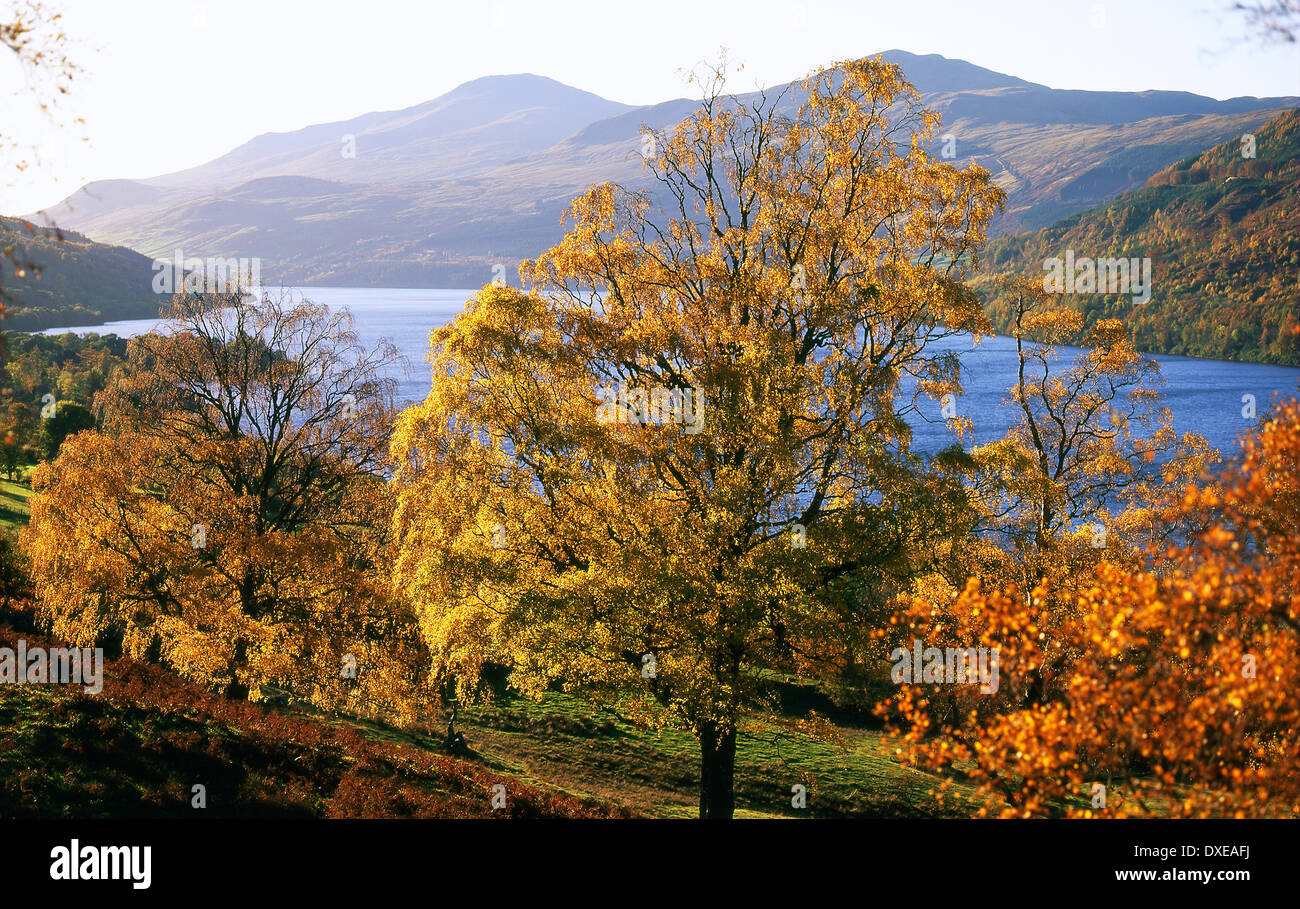 Autumn on Loch Tay, Perthshire Stock Photo - Alamy
