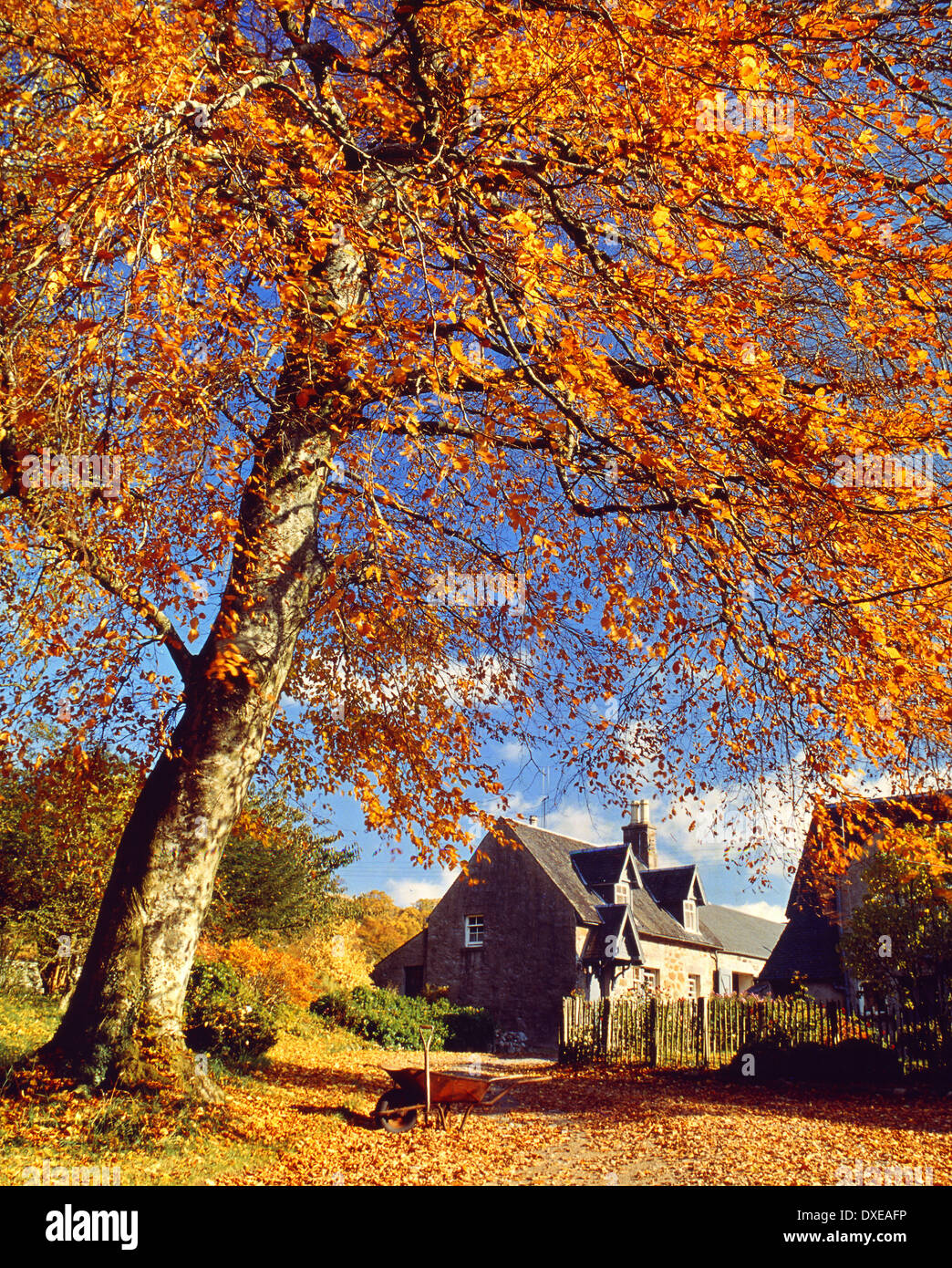 Ardchattan priory scotland hi-res stock photography and images - Alamy