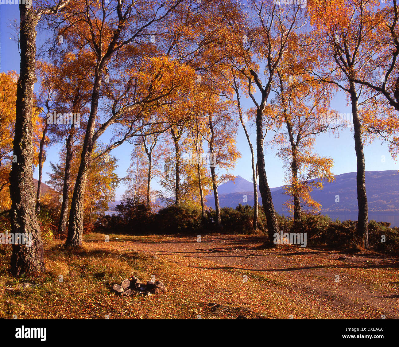 Kinloch rannoch hi-res stock photography and images - Alamy