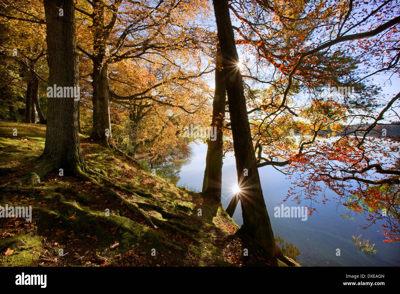 Menteith hills hi-res stock photography and images - Alamy