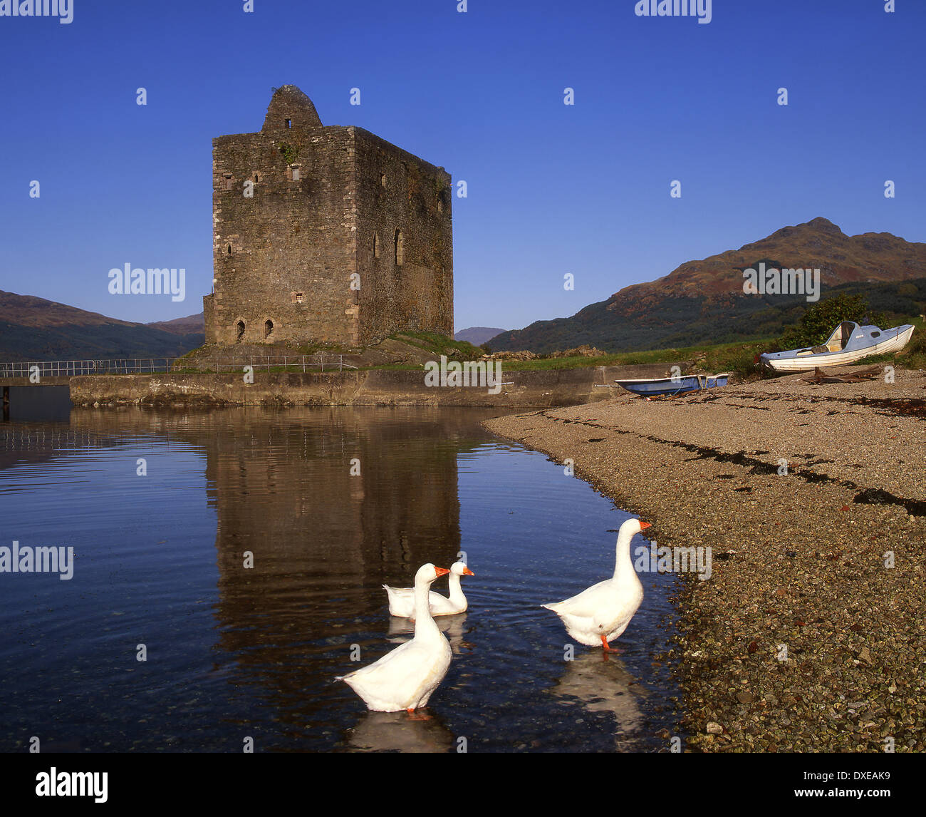Loch goil argyll hi-res stock photography and images - Alamy