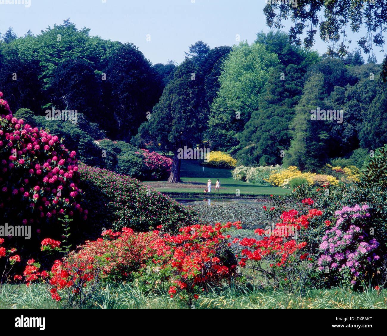 Castle Kennedy gardens, Dumfries & Galloway, S/W Scotland Stock Photo ...