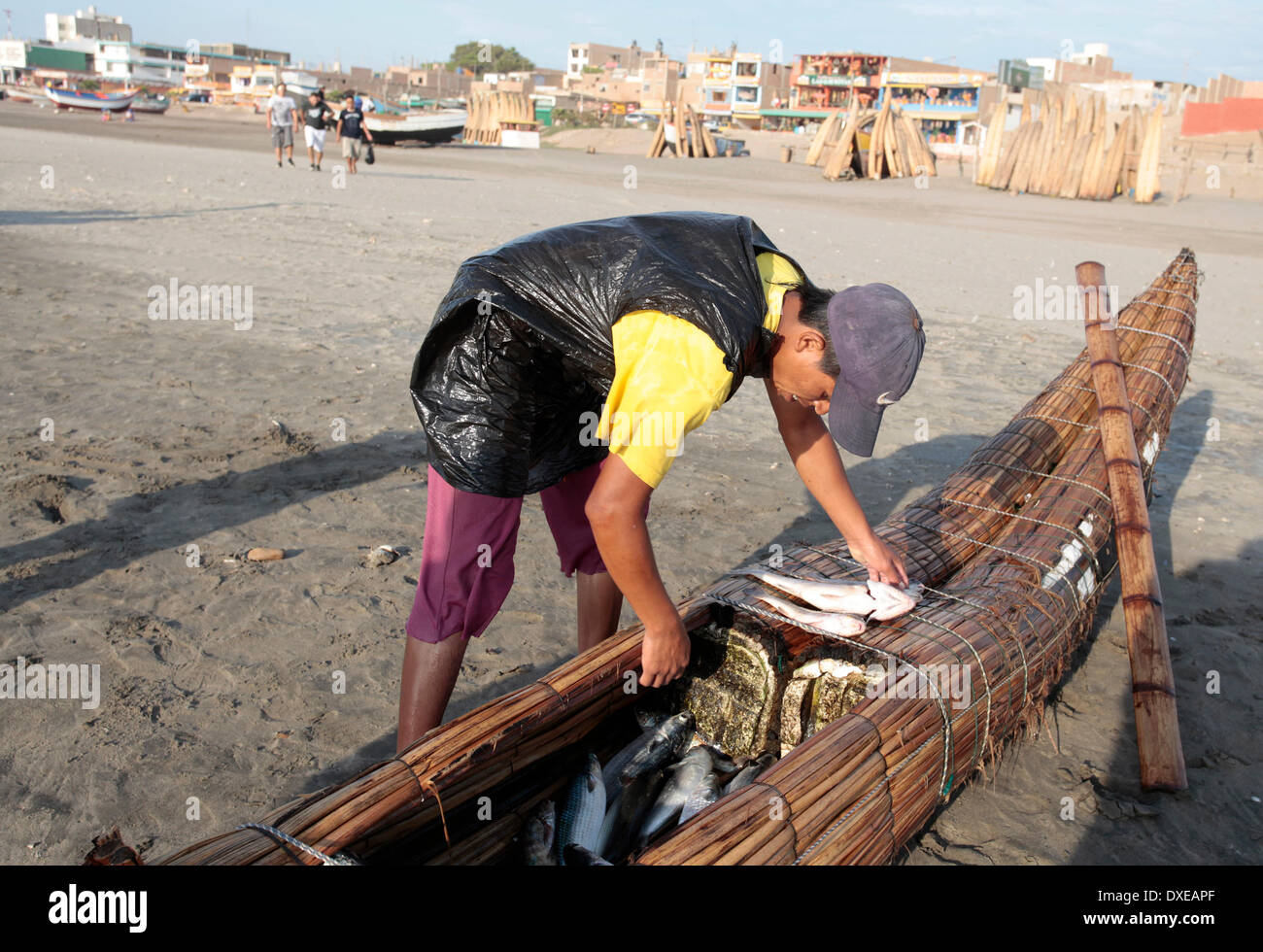 Jaime pimentel hi-res stock photography and images - Alamy