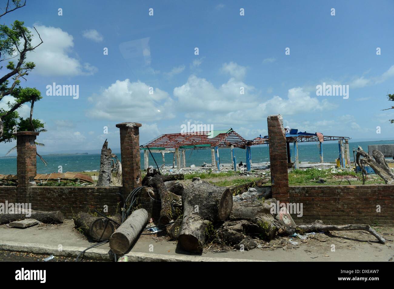 Destroyed buildings and trees after the super typhoon Haiyan in the ...