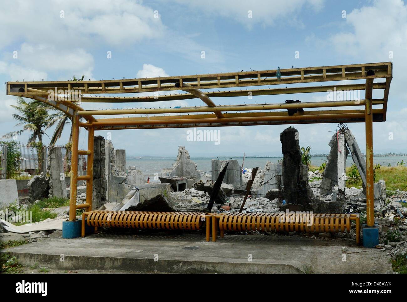 Destroyed buildings and trees after the super typhoon Haiyan in the ...