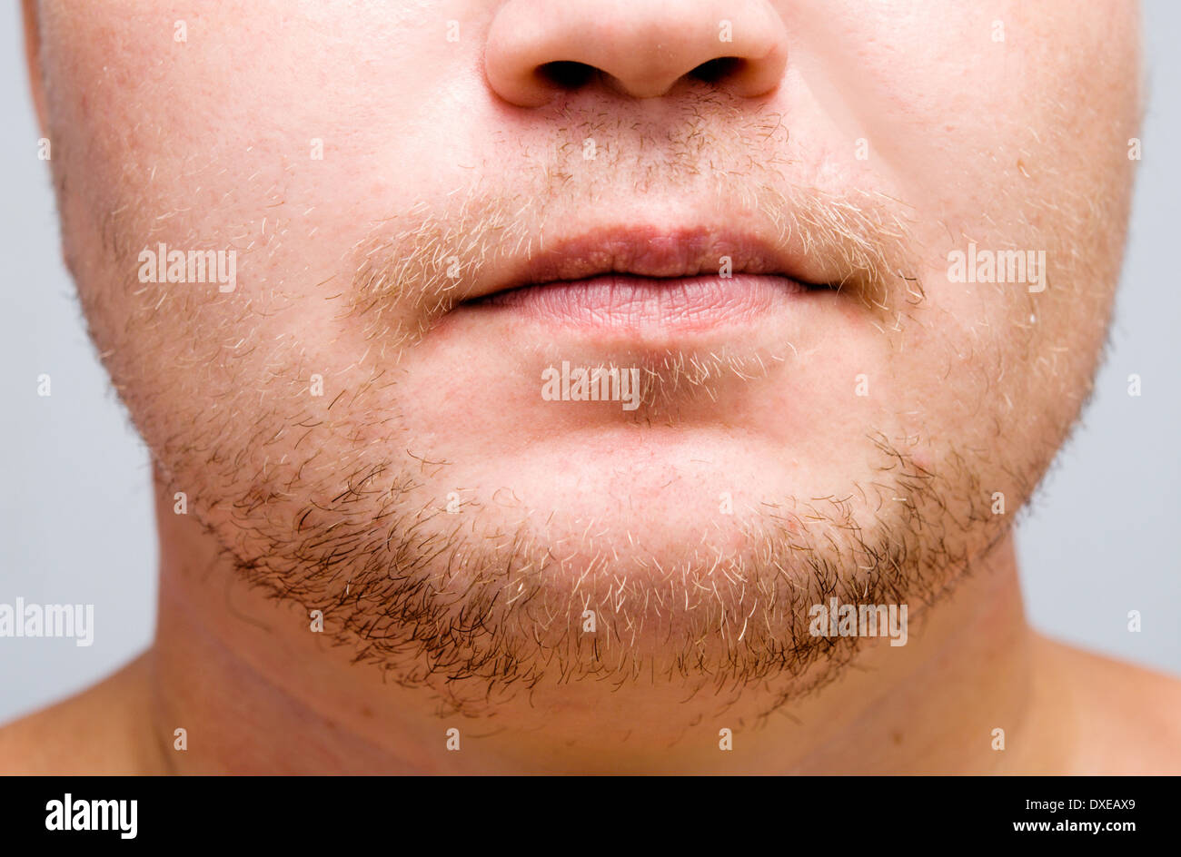Stabble hi-res stock photography and images - Alamy