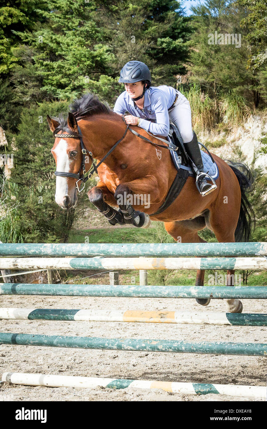 Bay horse jumping hi-res stock photography and images - Alamy