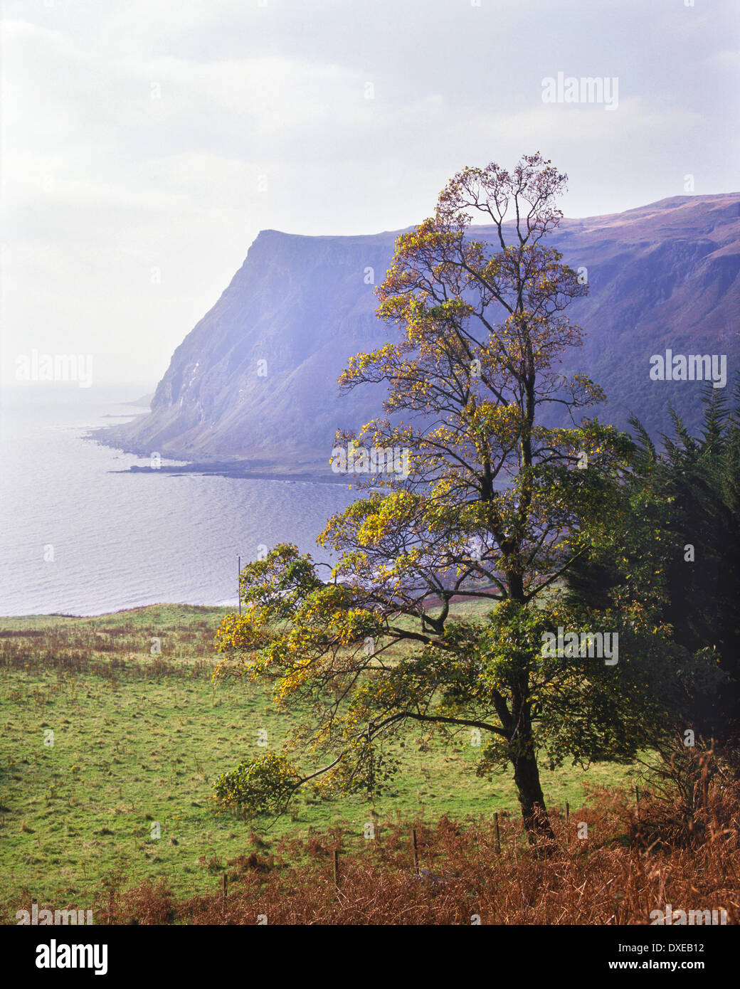 Autumn view vie across Carsaig bay, Isl of Mull, Argyll Stock Photo - Alamy