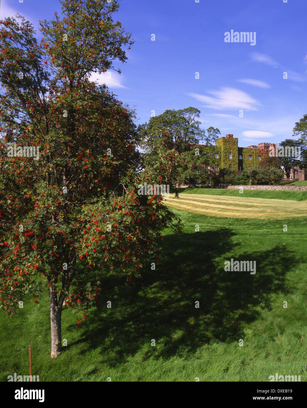 Robert the bruce portrait hi-res stock photography and images - Alamy