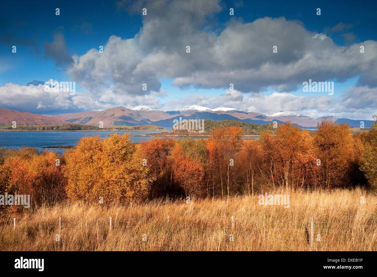 Eriska island hi-res stock photography and images - Alamy
