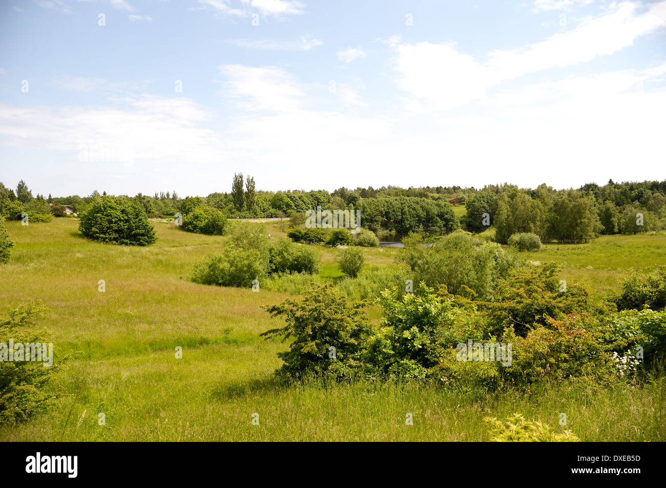Landscape with trees and bushes Stock Photo - Alamy