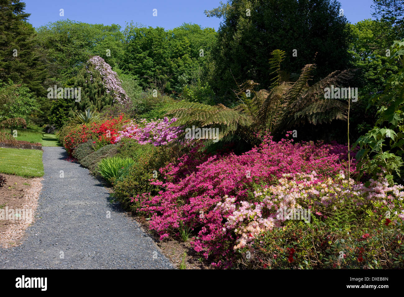 Achamore gardens hi-res stock photography and images - Alamy