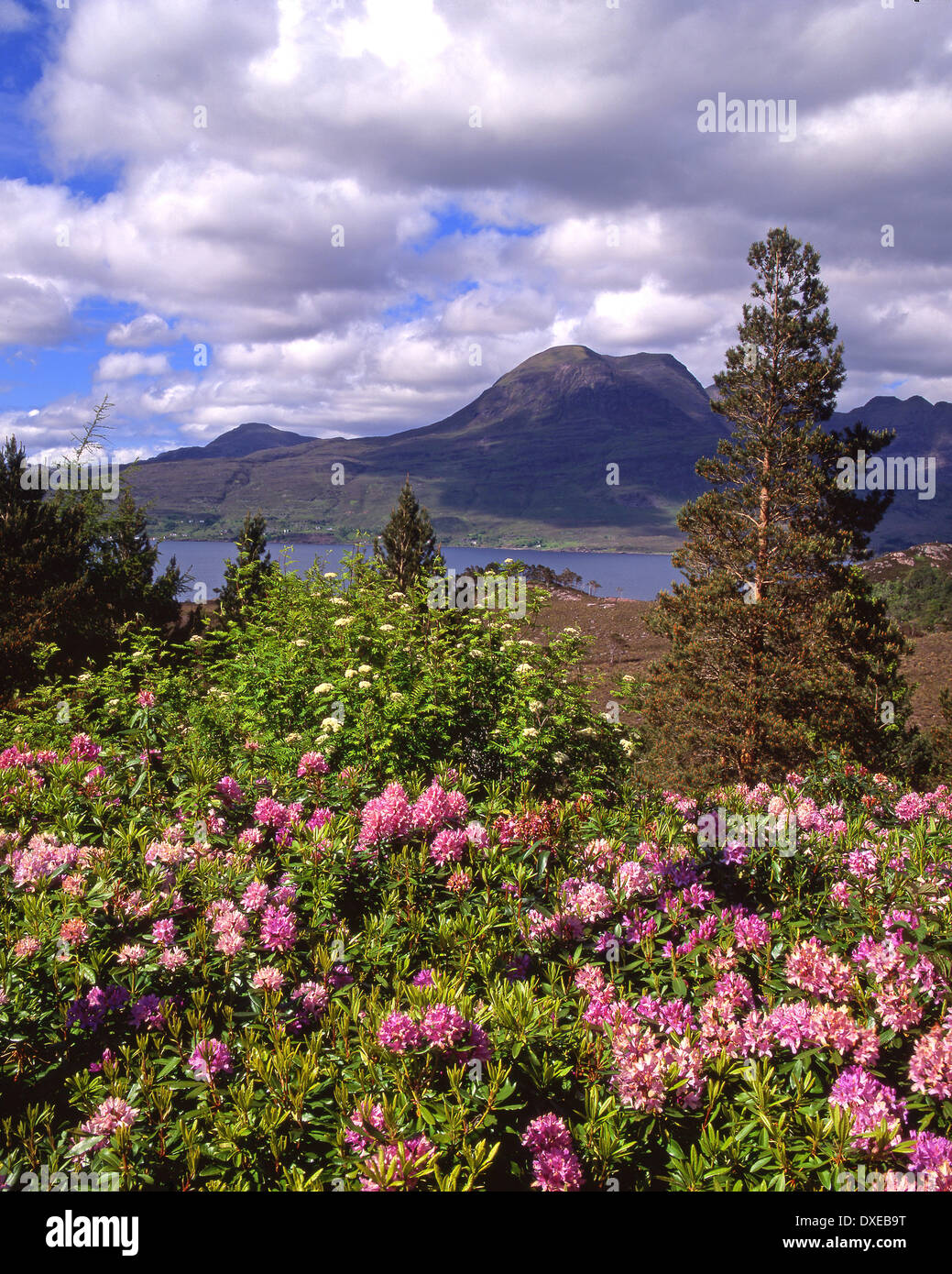 Ben Alligan, Torridon Stock Photo - Alamy