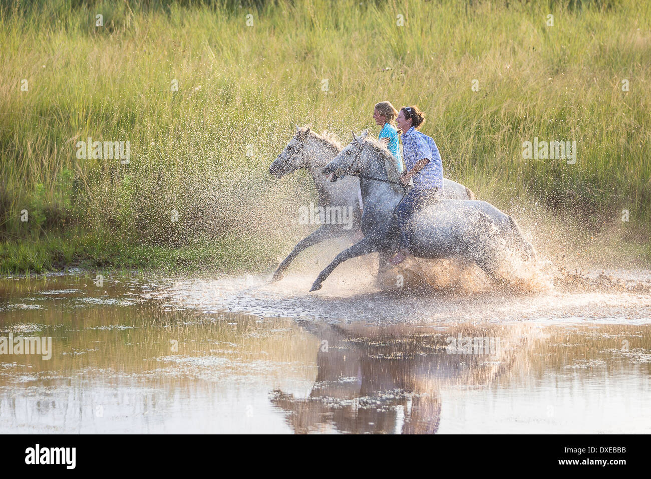Nooitgedacht Pony. Two riders on gray mares galloping through water ...