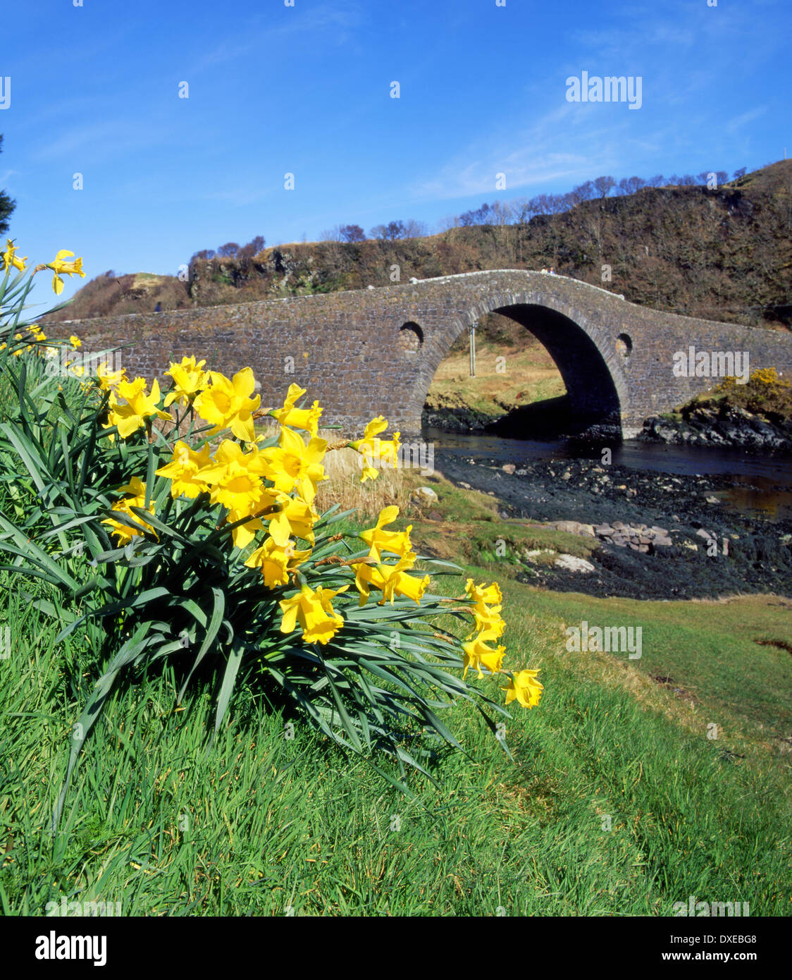 Drovers bridge hi-res stock photography and images - Alamy