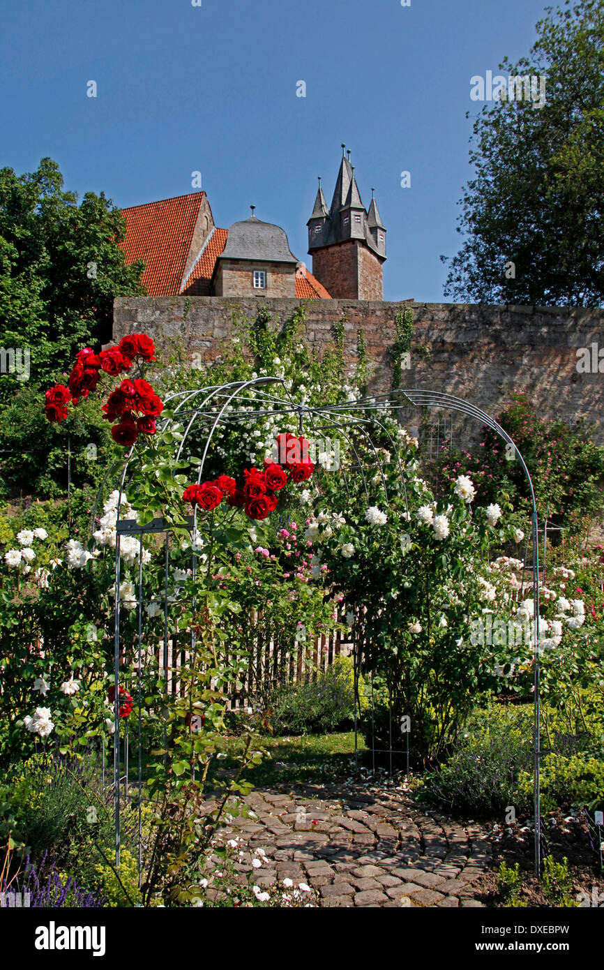Rose garden and Spangenberg Castle, Spangenberg, Schwalm-Eder district ...