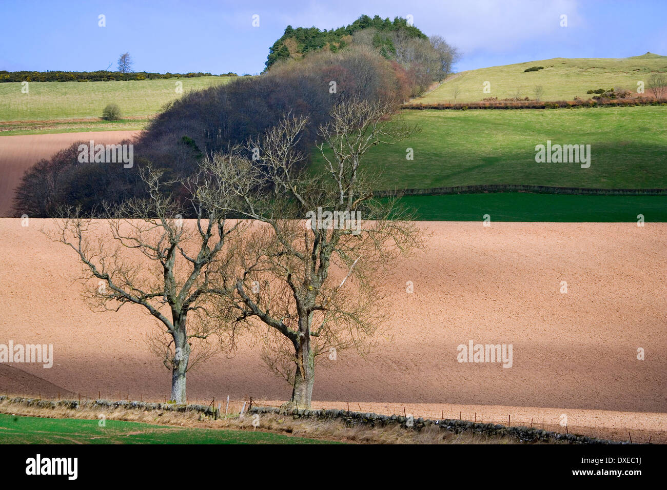 Rolling Fields Perthshire Stock Photo - Alamy