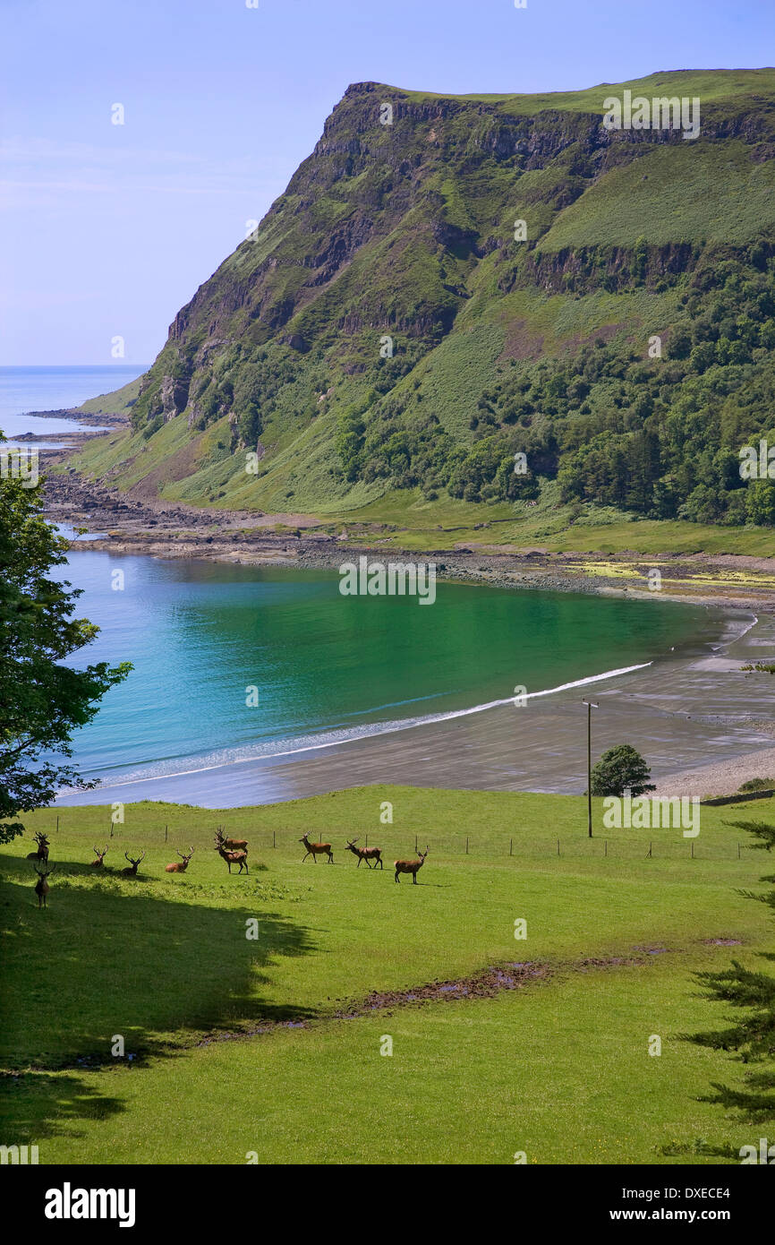 Carsaig bay scotland hi-res stock photography and images - Alamy