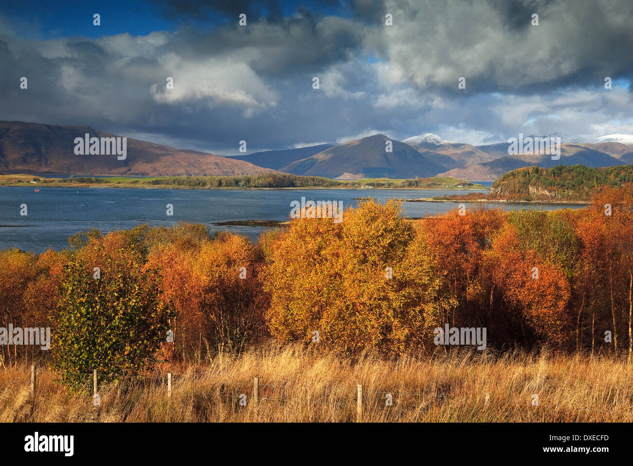 Argyll morvern hills hi-res stock photography and images - Alamy