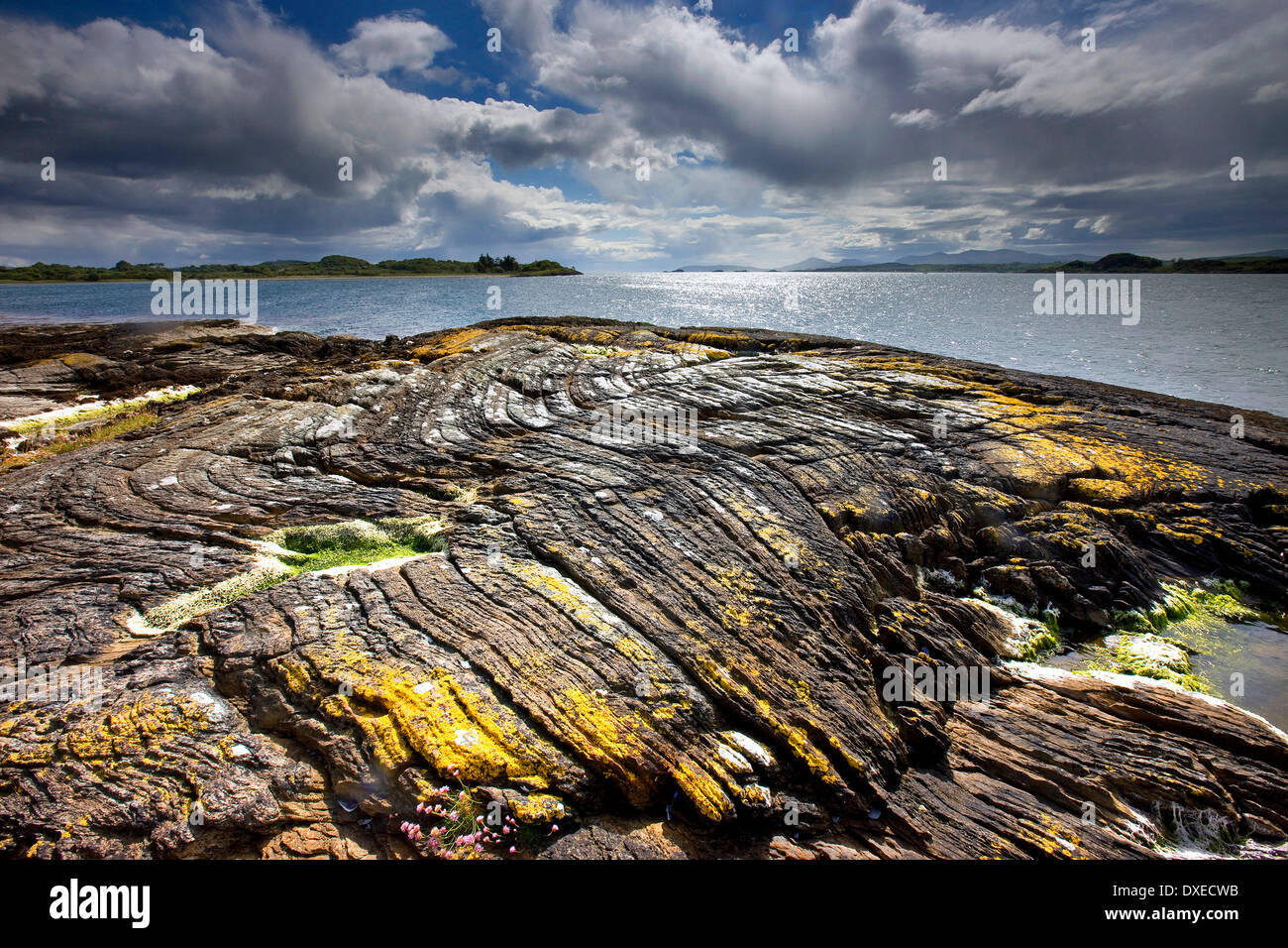 Dramatic view showing Folded Phyllites on the southern tip of Eriska ...