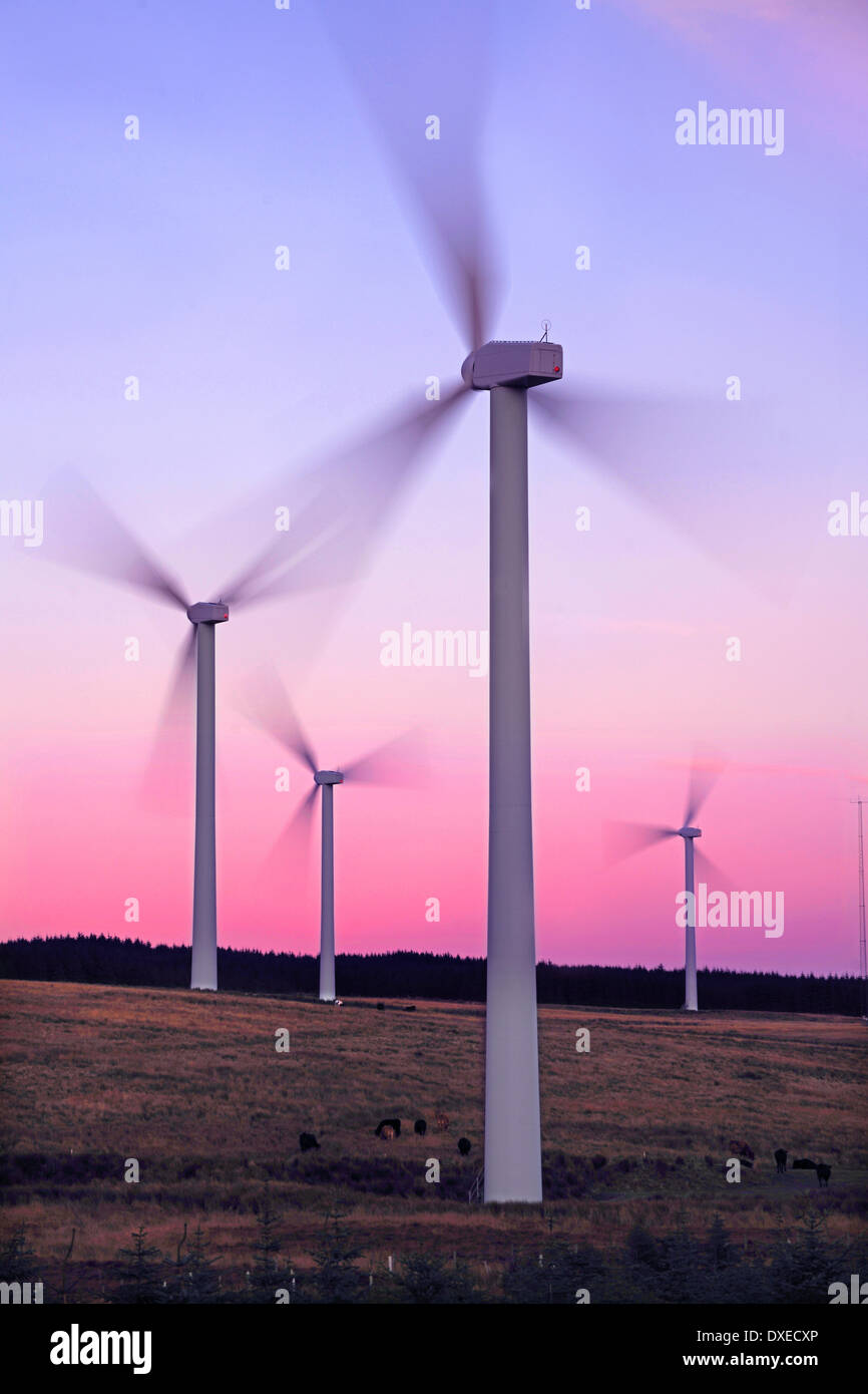 Tangy kintyre hi-res stock photography and images - Alamy