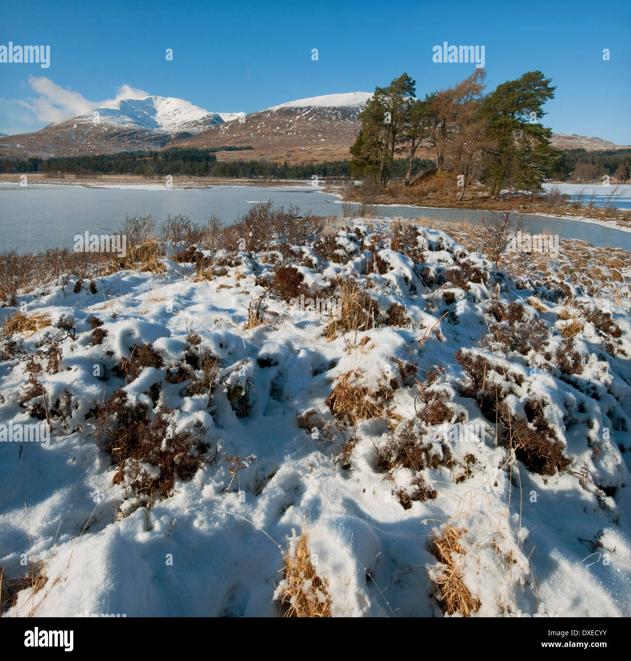 Blackmount hi-res stock photography and images - Alamy