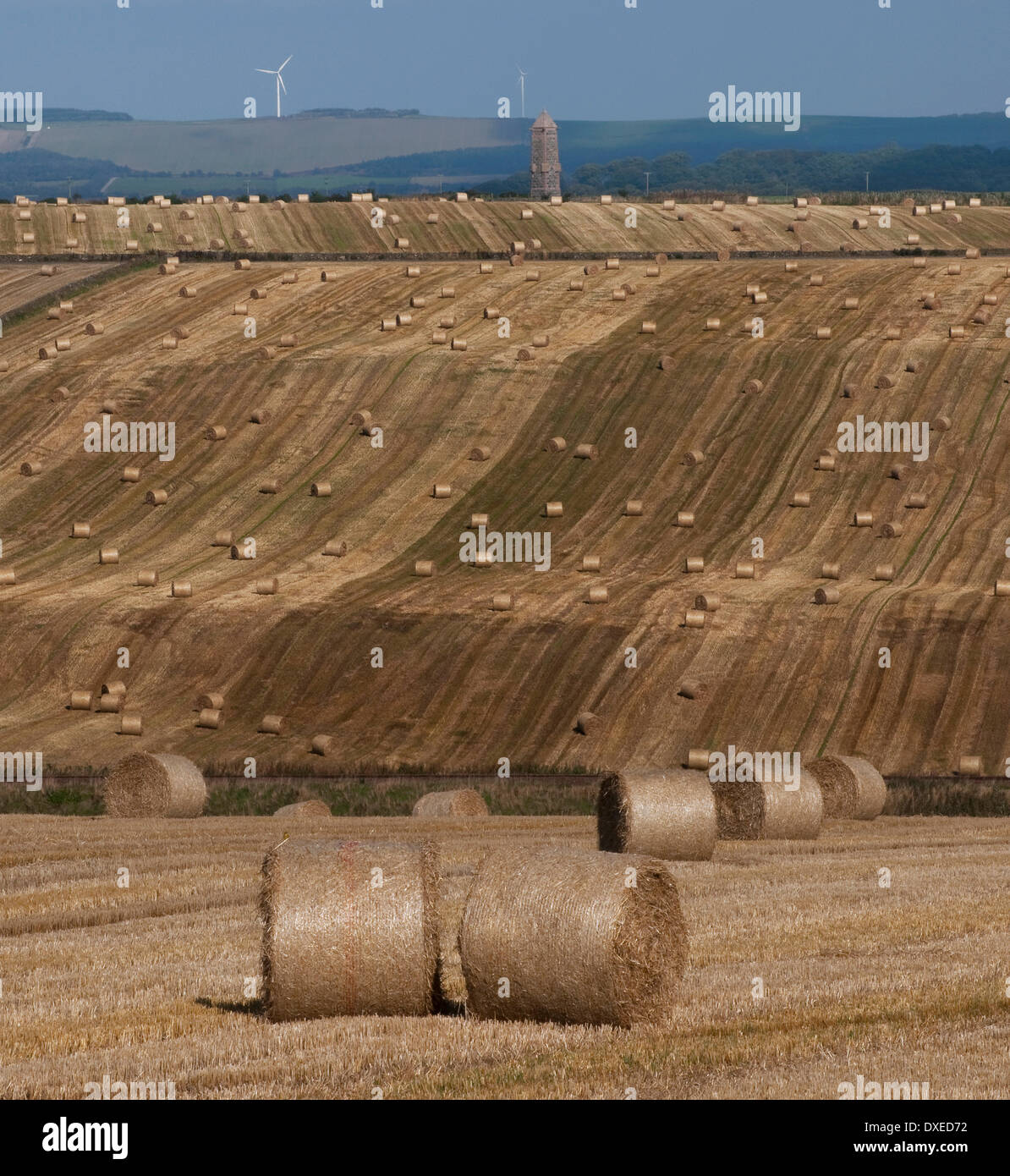 golden fields of hay and distant wind-turbine.Aberdeenshire countryside ...