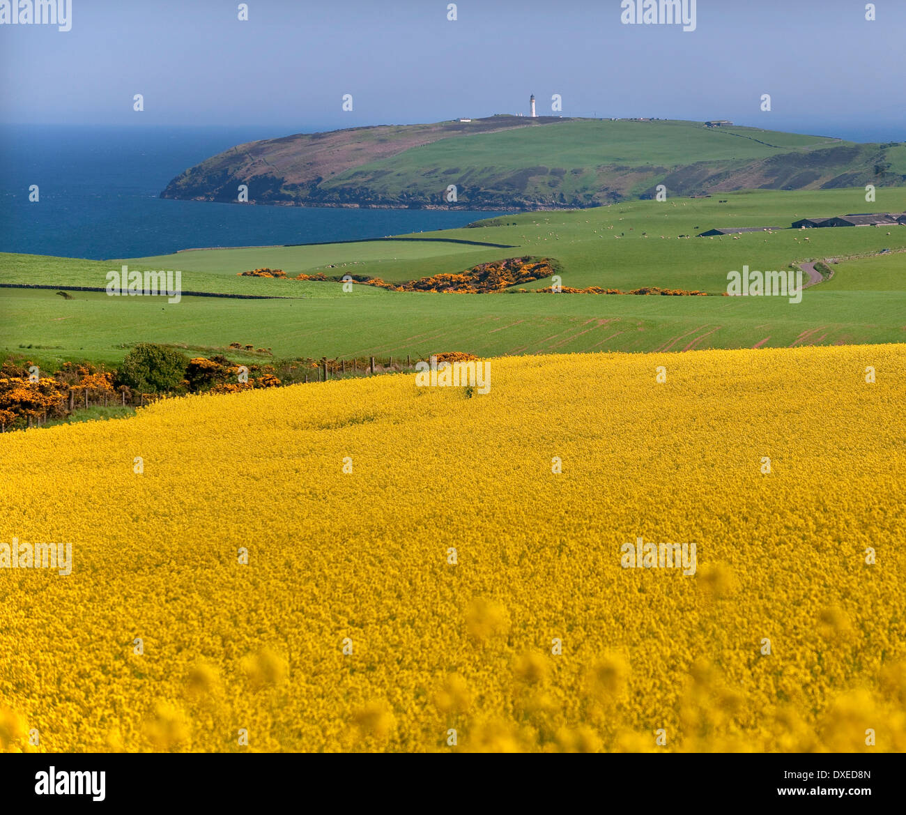 Mull of Galloway,dumfries and galloway Stock Photo - Alamy