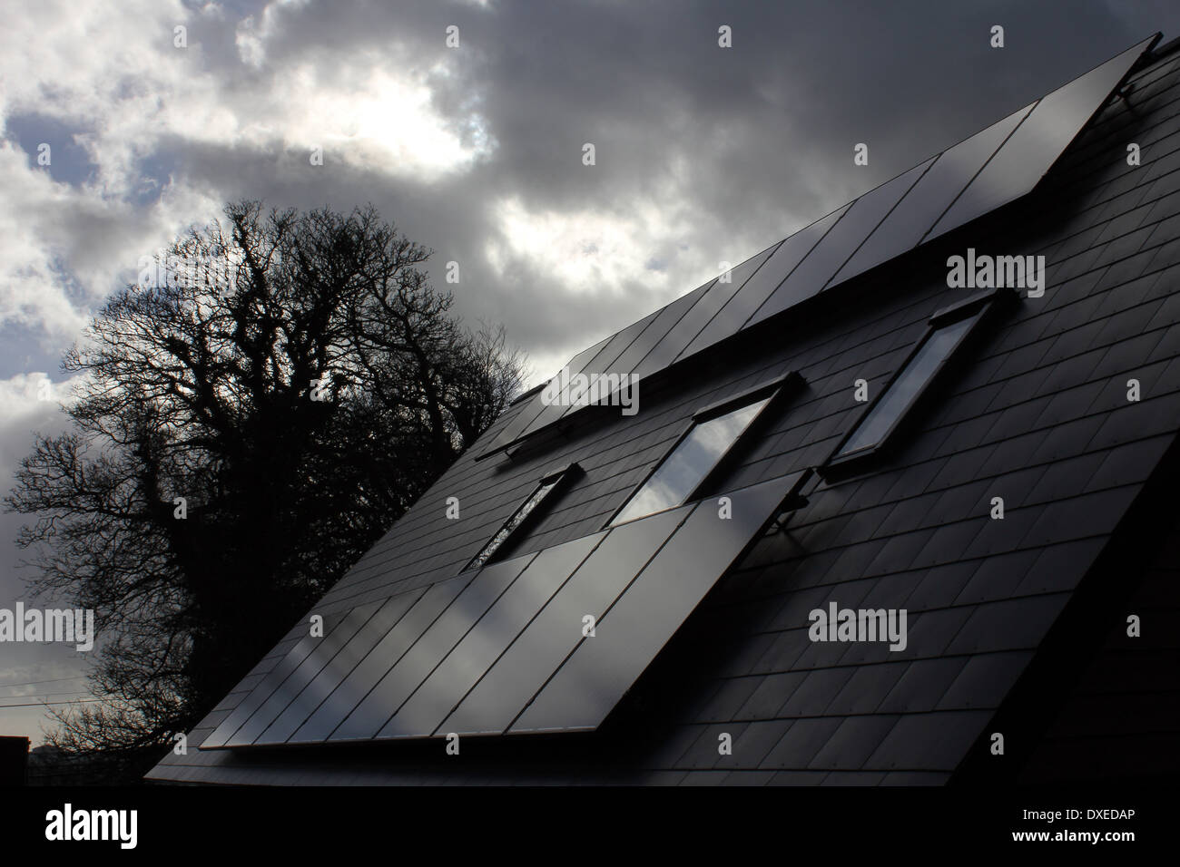 Solar photovoltaic modules hi-res stock photography and images - Alamy